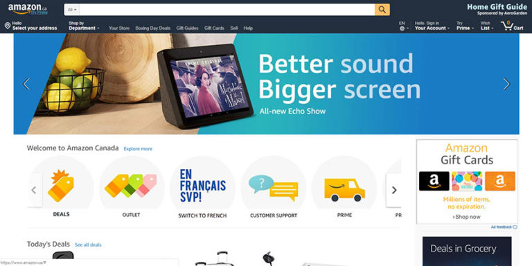 Top 10 e-commerce sites in Canada 2021 - Disfold Blog